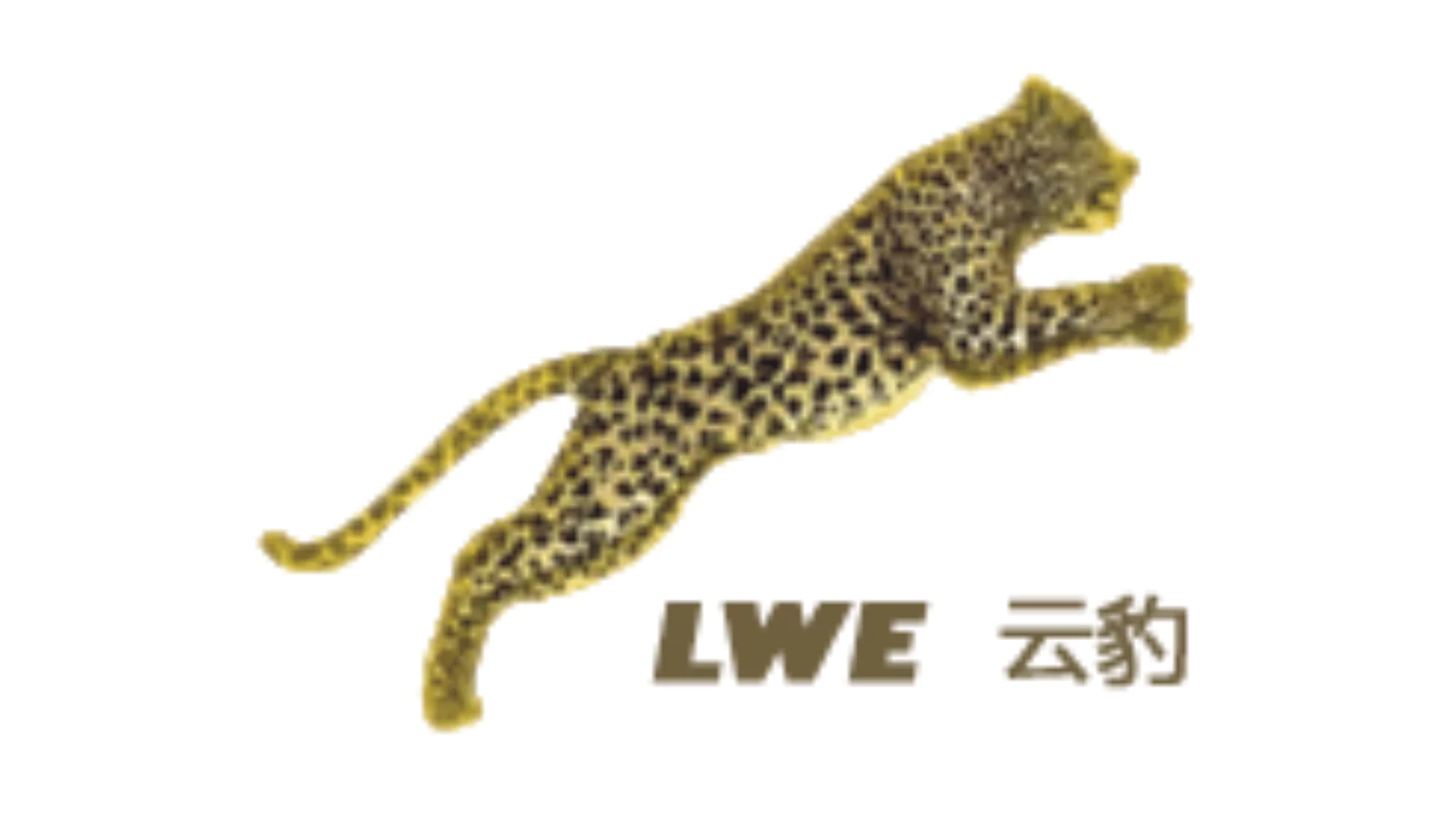 Leopards China Express Tracking - Track Your Shipment